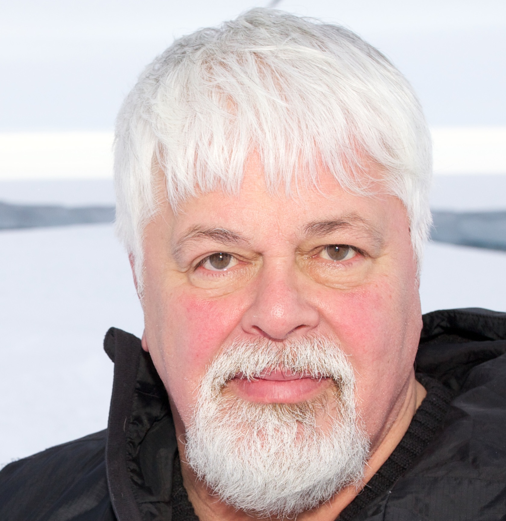 Animals Today January 9, 2016: Protecting the seas with Sea Shepherd’s ...