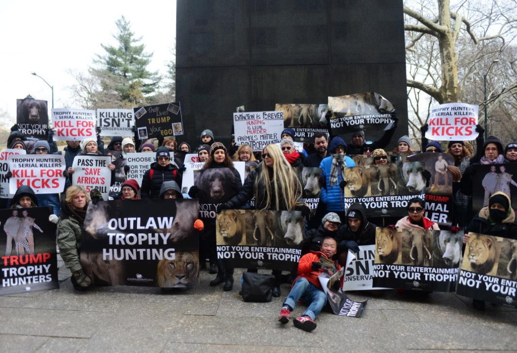 Animals Today March 10, 2018: The California Cruelty Free Cosmetics Act ...