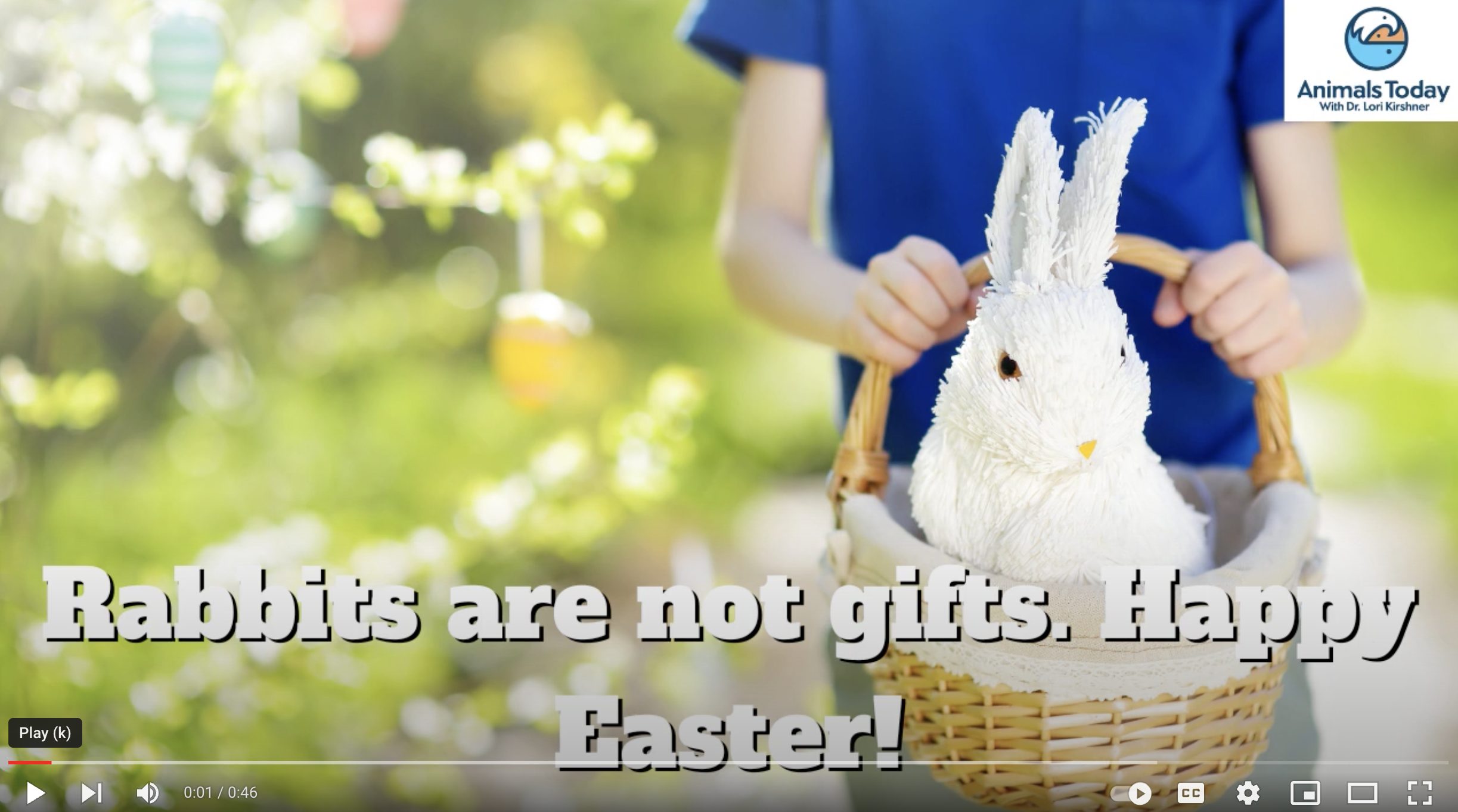 Animals Today: A short message for Easter! - Animals Today Radio