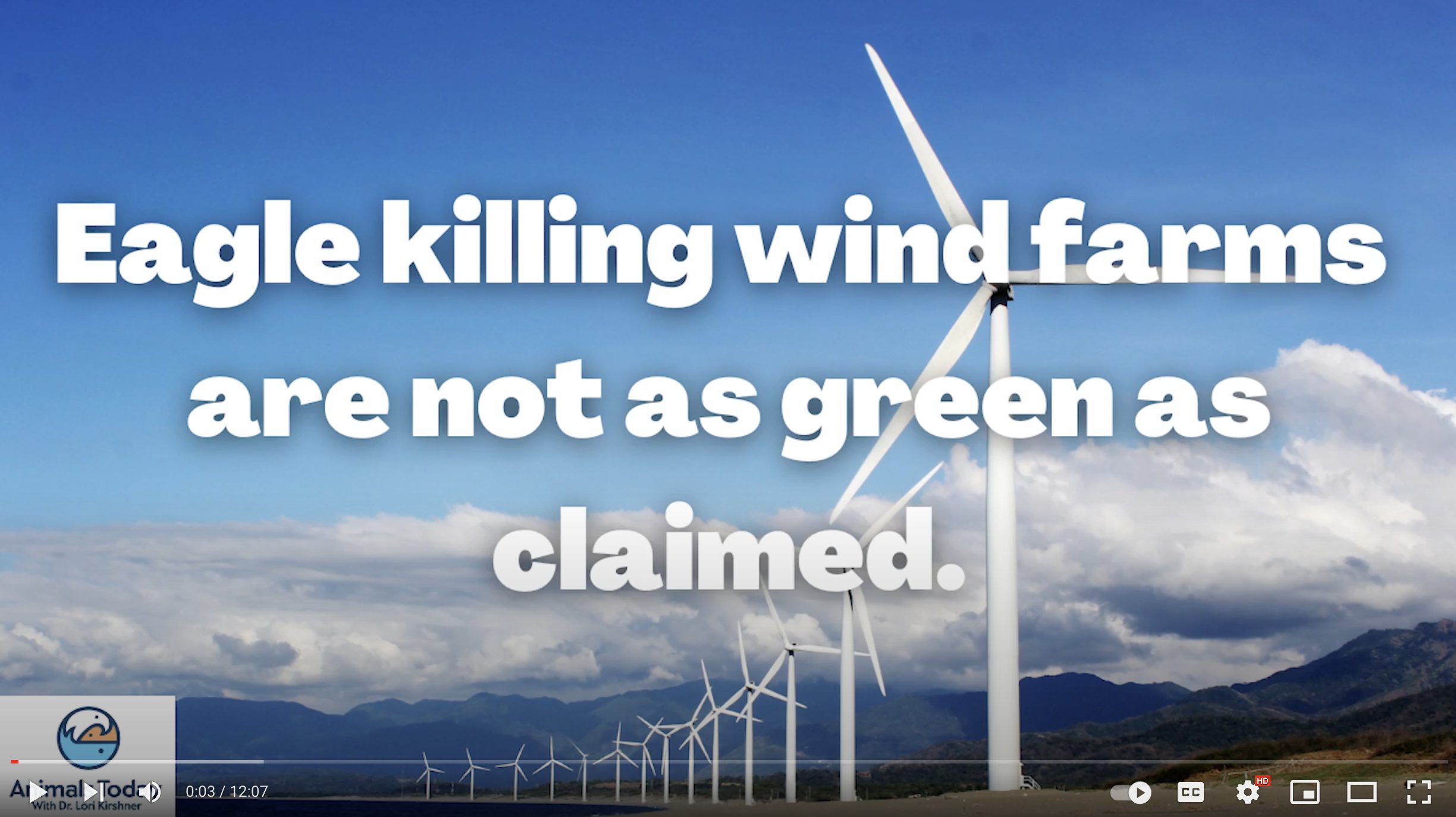 Wind farms are killing wildlife. - Animals Today Radio